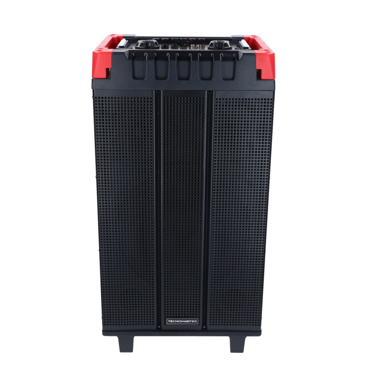 Bocina Portátil Tecnomaster M/WS-12017 12 BT USB - Tecnomaster